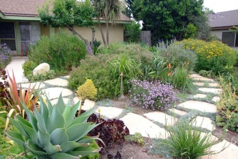 Informal Gardens - Plantinfo
