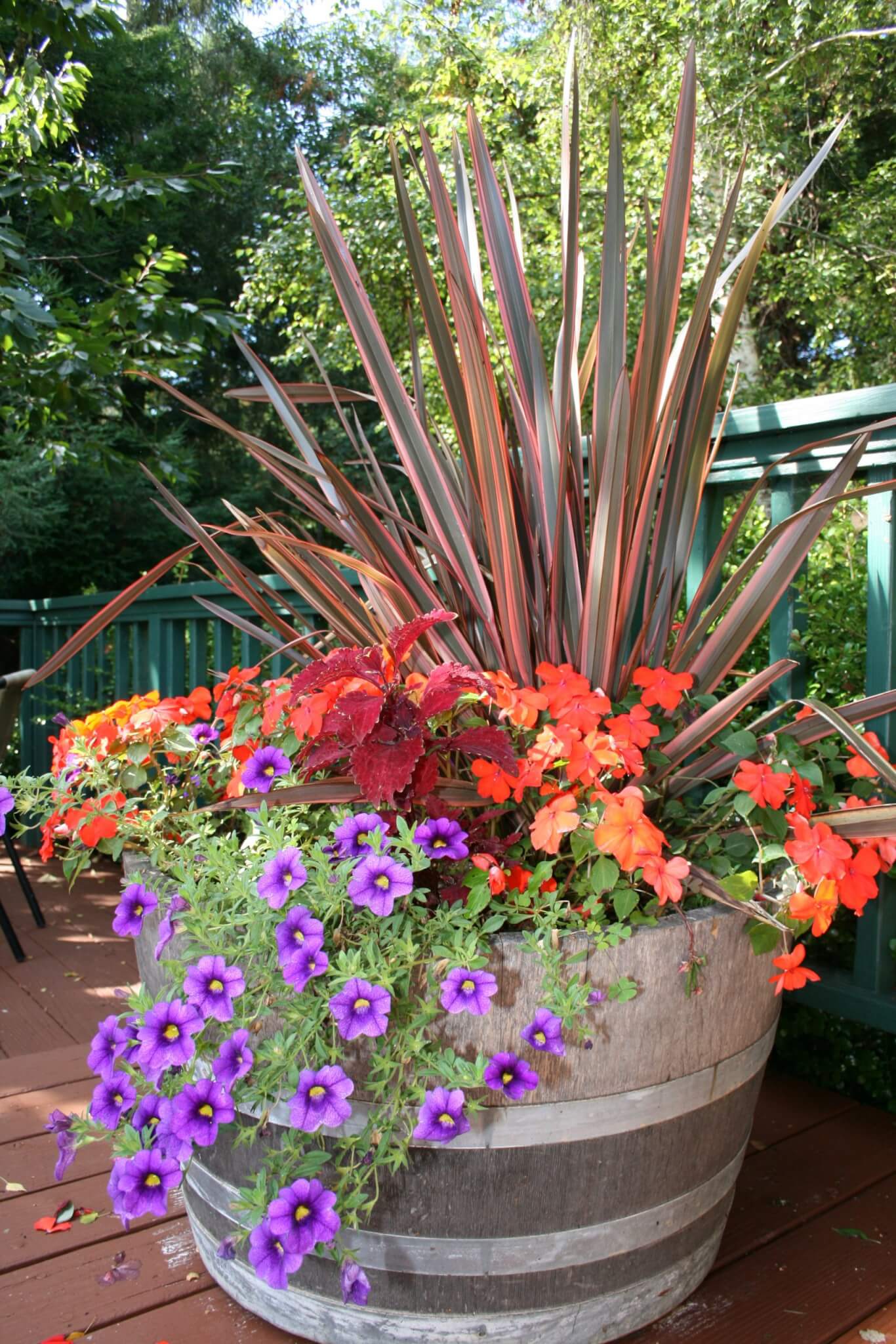 How to plant up a pot or container - Plantinfo