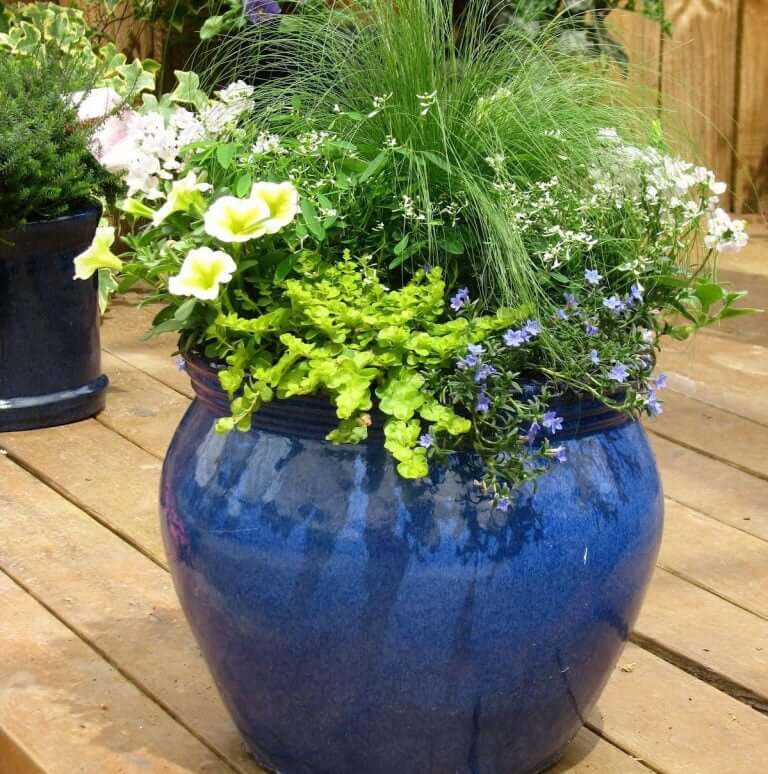 Tips when planting up a container: - Plantinfo