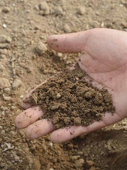 How to identify your soil type and how to rectify it. - Plantinfo