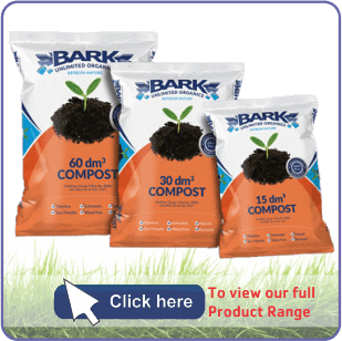 Breynia disticha 'Roseo-picta' (Ice-cream bush, snow bush) - Plantinfo