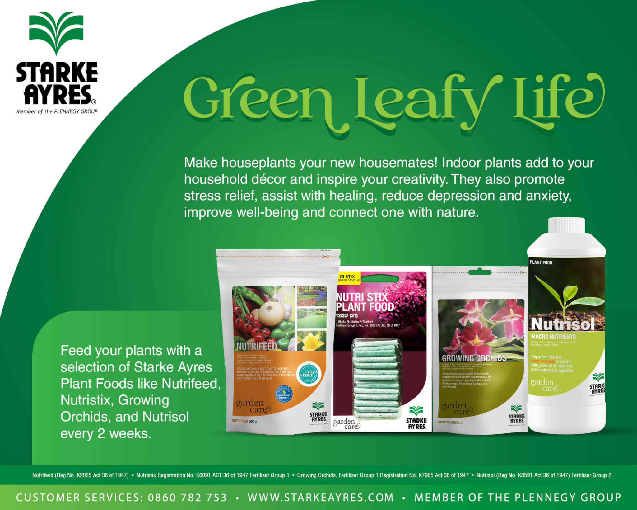 Crossandra undulaefolia (Firecracker flower) - Plantinfo