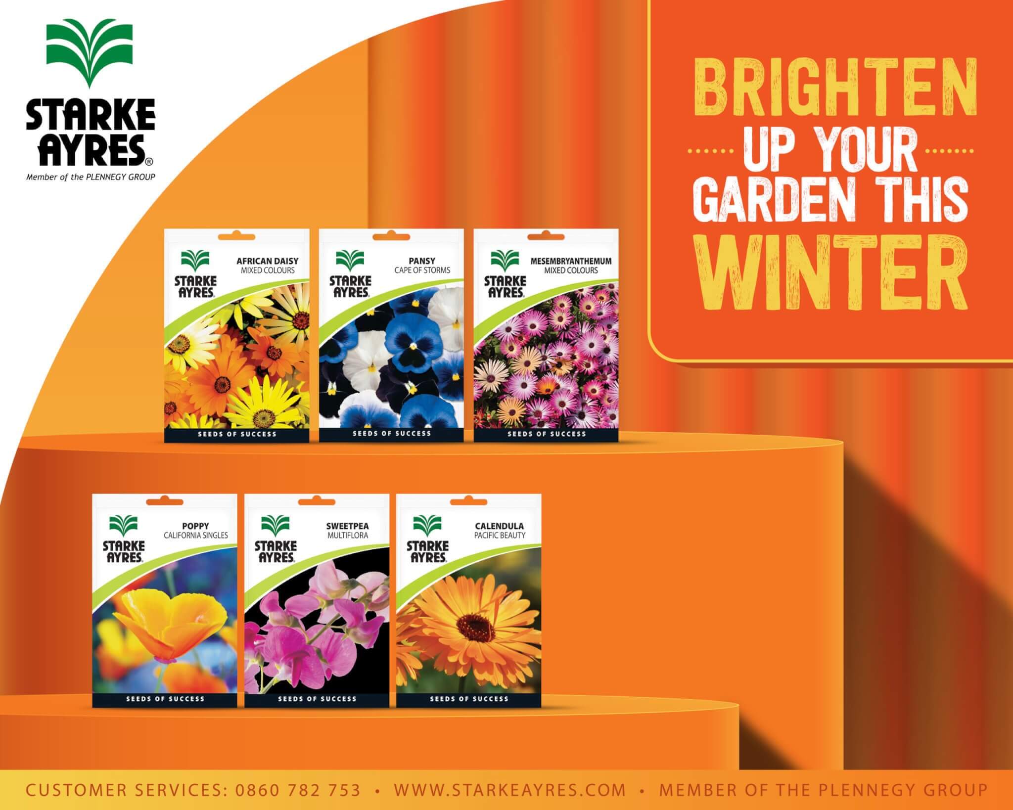 Searsia crenata ((380.1) Dune crowberry) - Plantinfo