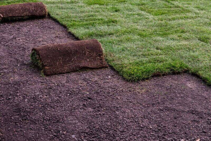 How to plant grass blocks or sods for an instant lawn - Plantinfo