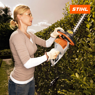 Southeastern Asia Archives - Plantinfo