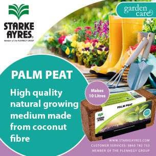 Polygala myrtifolia (September bush) - Plantinfo