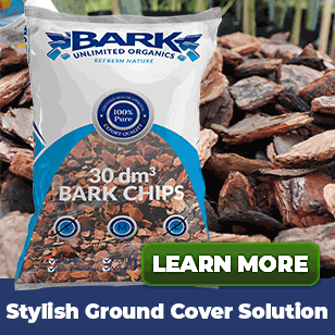 Syzygium cordatum (Water berry) - Plantinfo